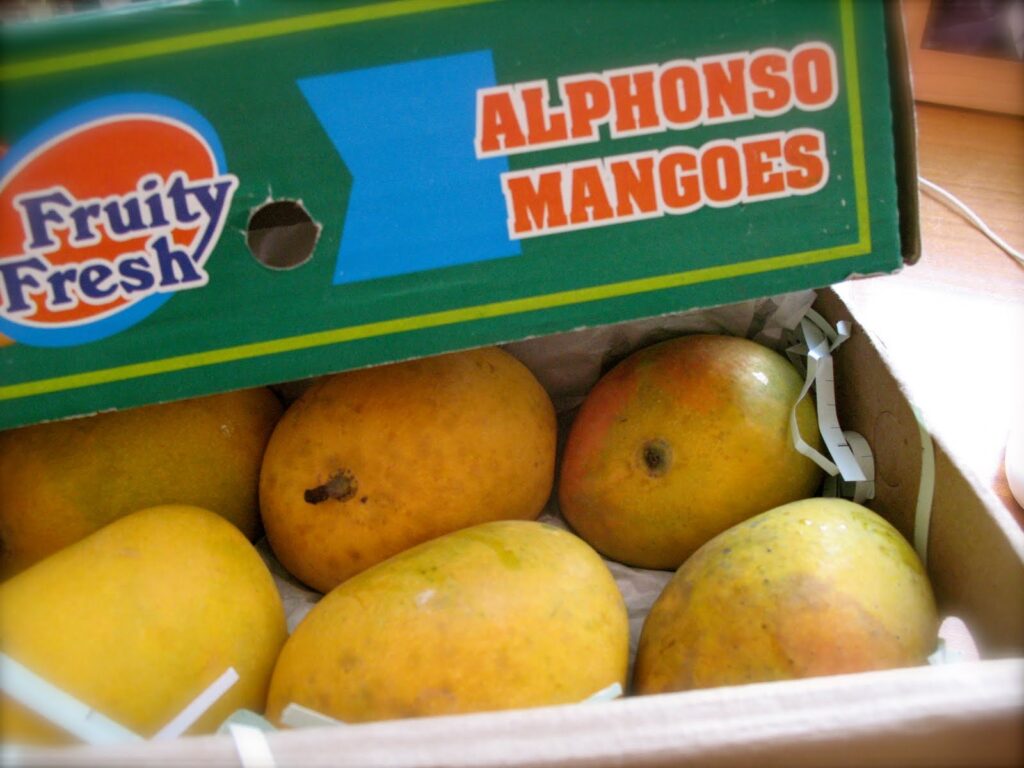 Alphonso Mangoes – Jai Hind Grocery